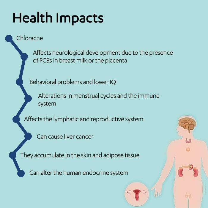 WHAT ARE THE EFFECTS OF PCB ON HUMAN HEALTH? - TREDI ARGENTINA